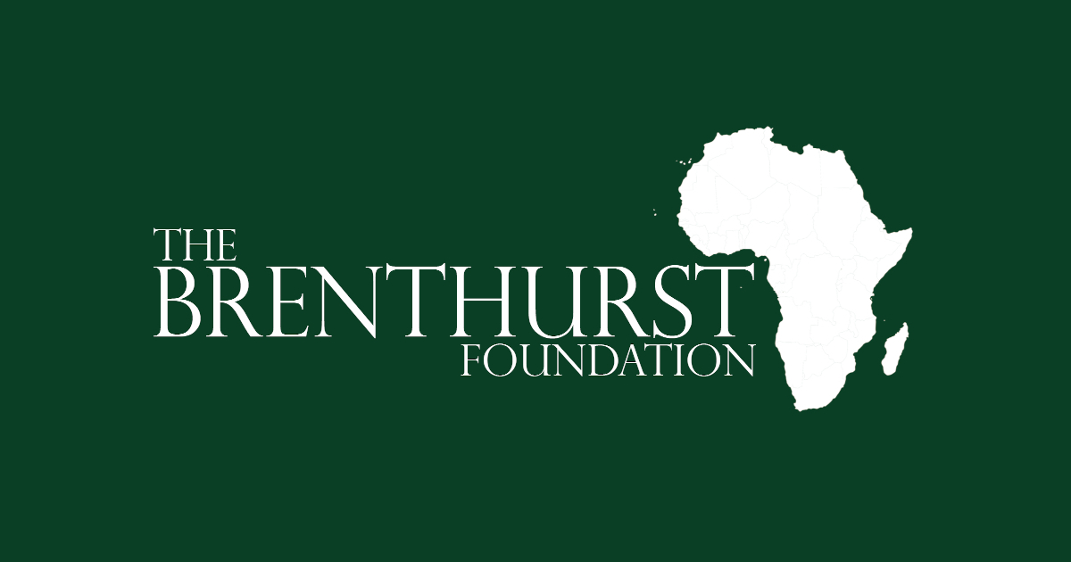 Publications | The Brenthurst Foundation