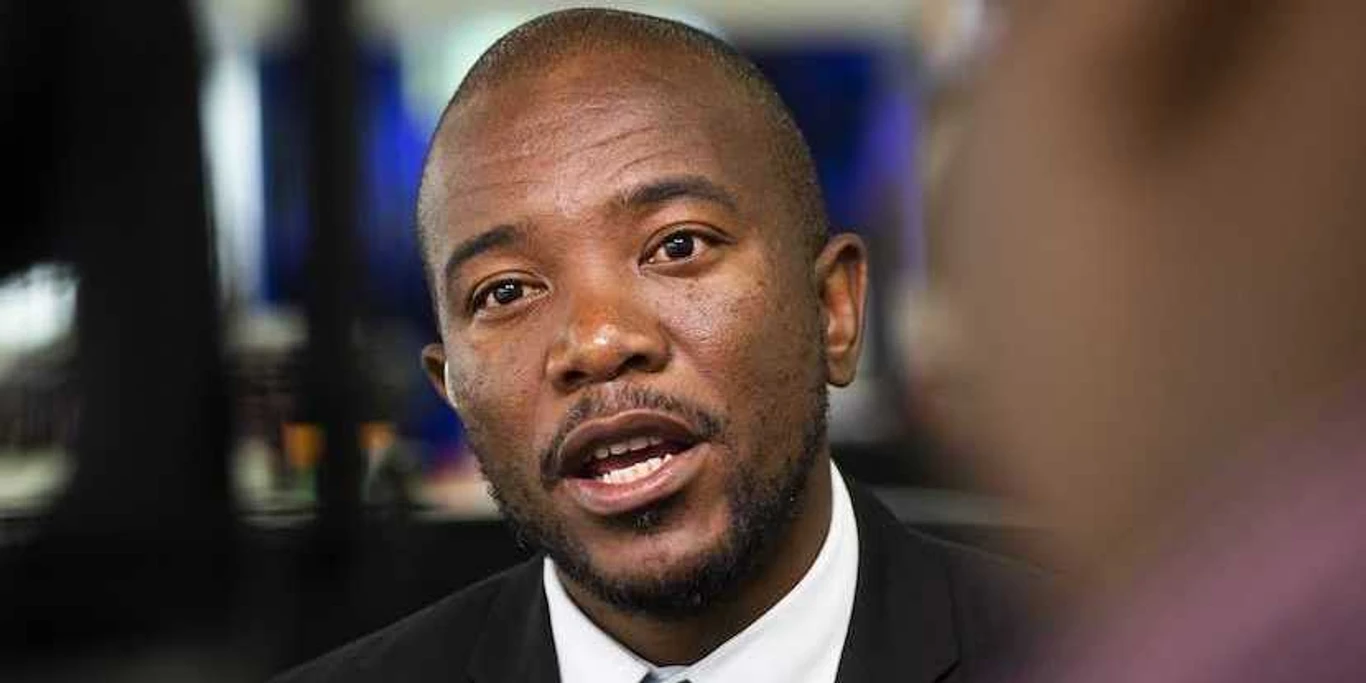 The 10 Minute Interview - Mmusi Maimane | The Brenthurst Foundation