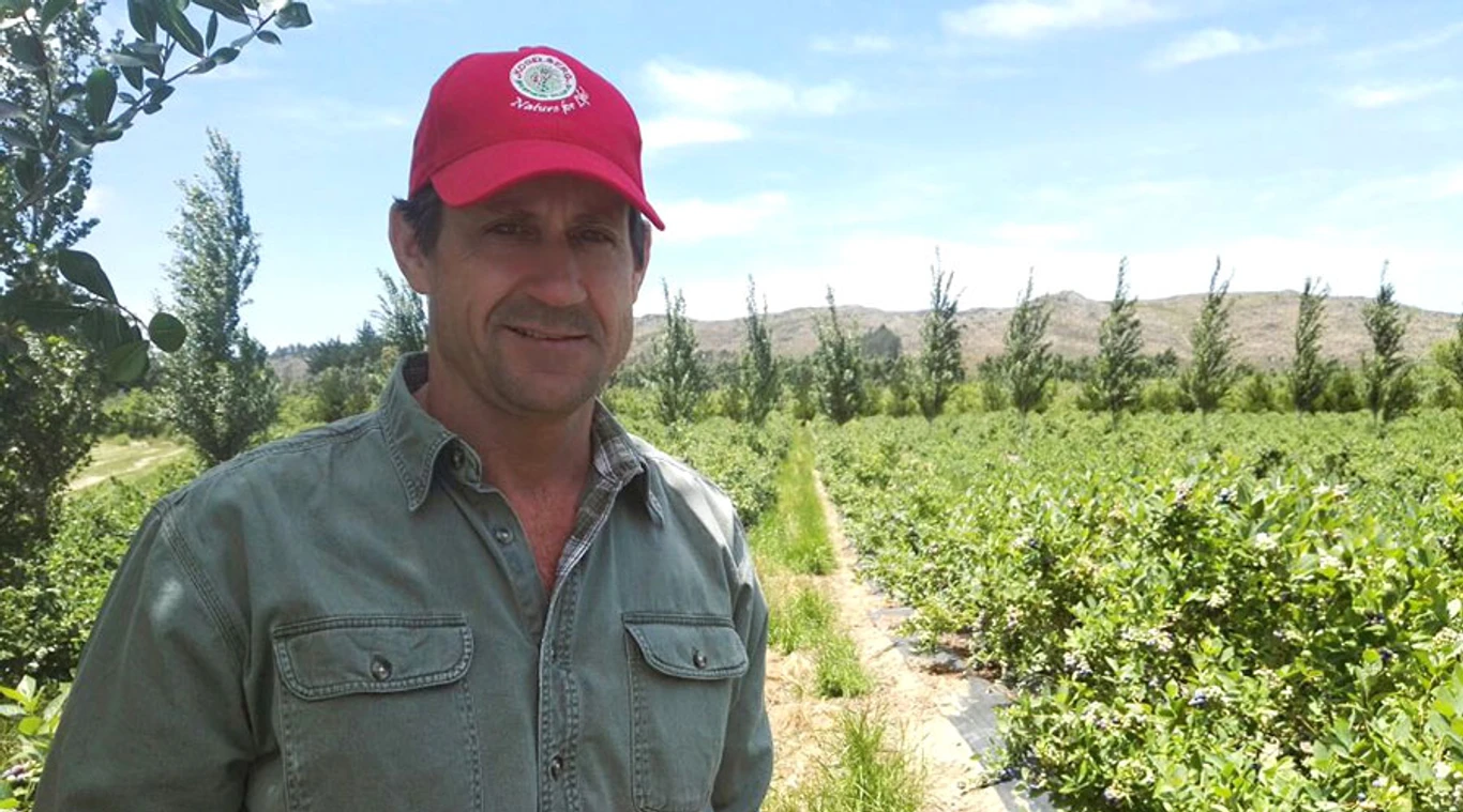 Mike du Toit | The Brenthurst Foundation
